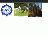 Click Or Hover On The Image To Enlarge In Html Delft Stack